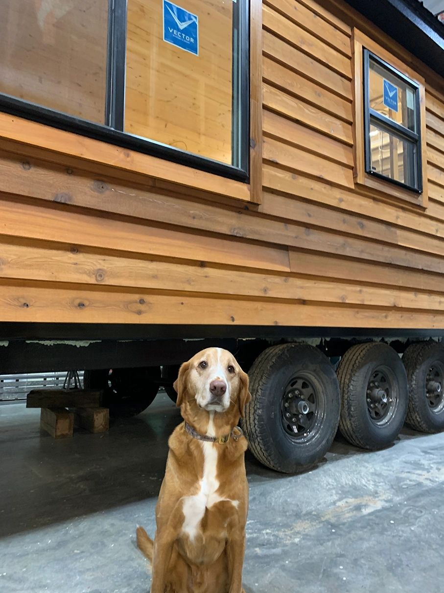 Pet Ownership In Tiny Houses: Coexisting With Pets In A Tiny Home
