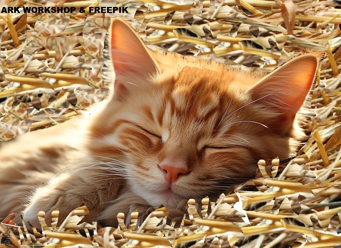 Straw's Better Than Hay For Cat Shelters