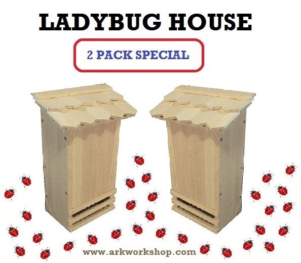 LADYBUG HOUSE 2 PACK SPECIAL -SHAKER ROOF