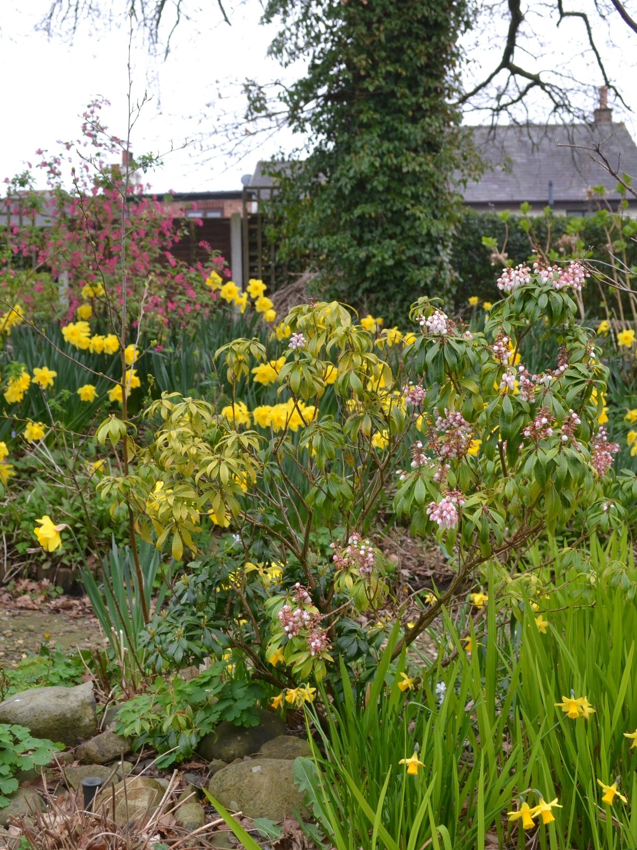 Great Eccleston Village Centre