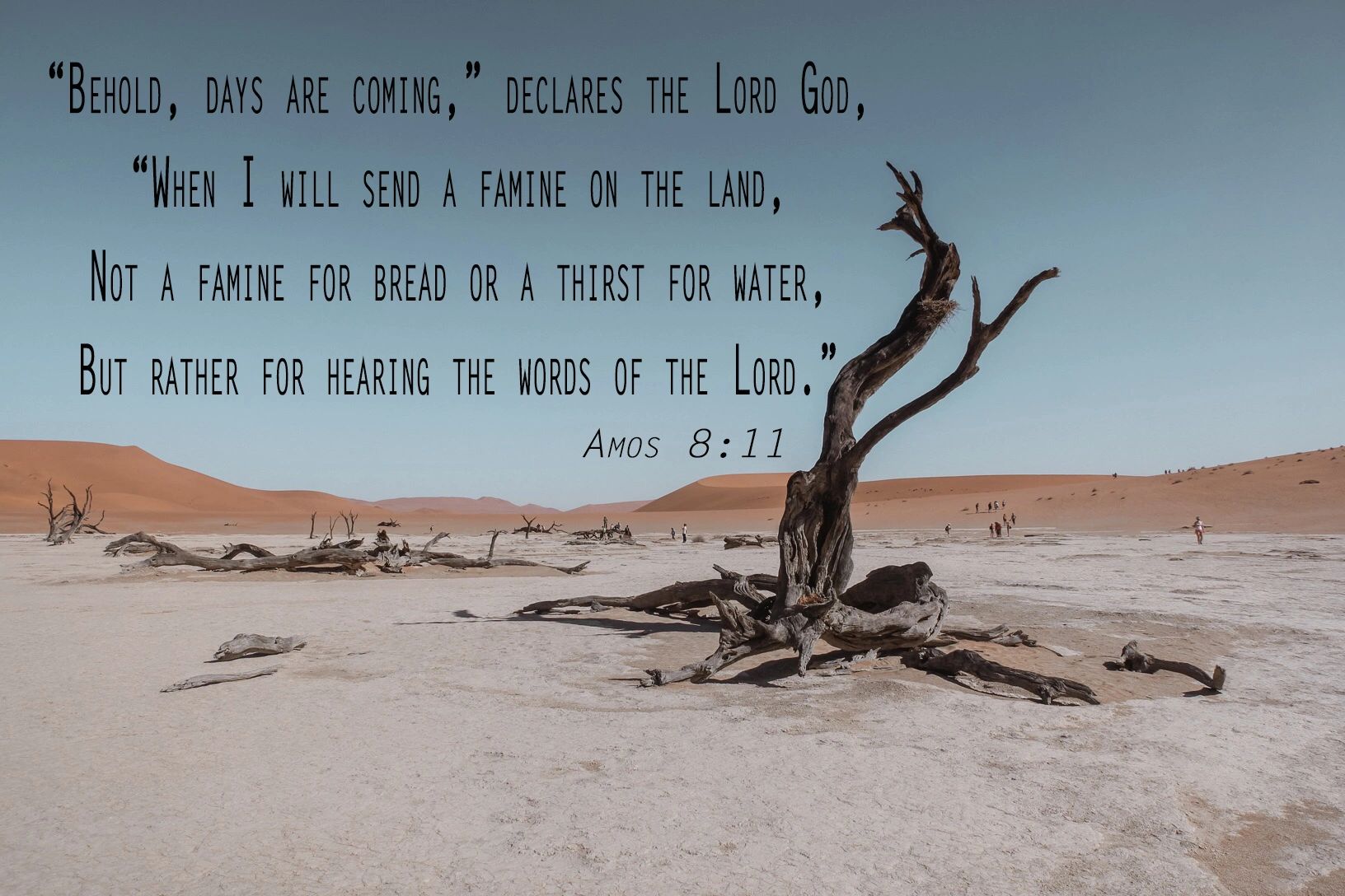 Bread for the Famine - Jesus, Biblical Bible Studies, Christianity ...