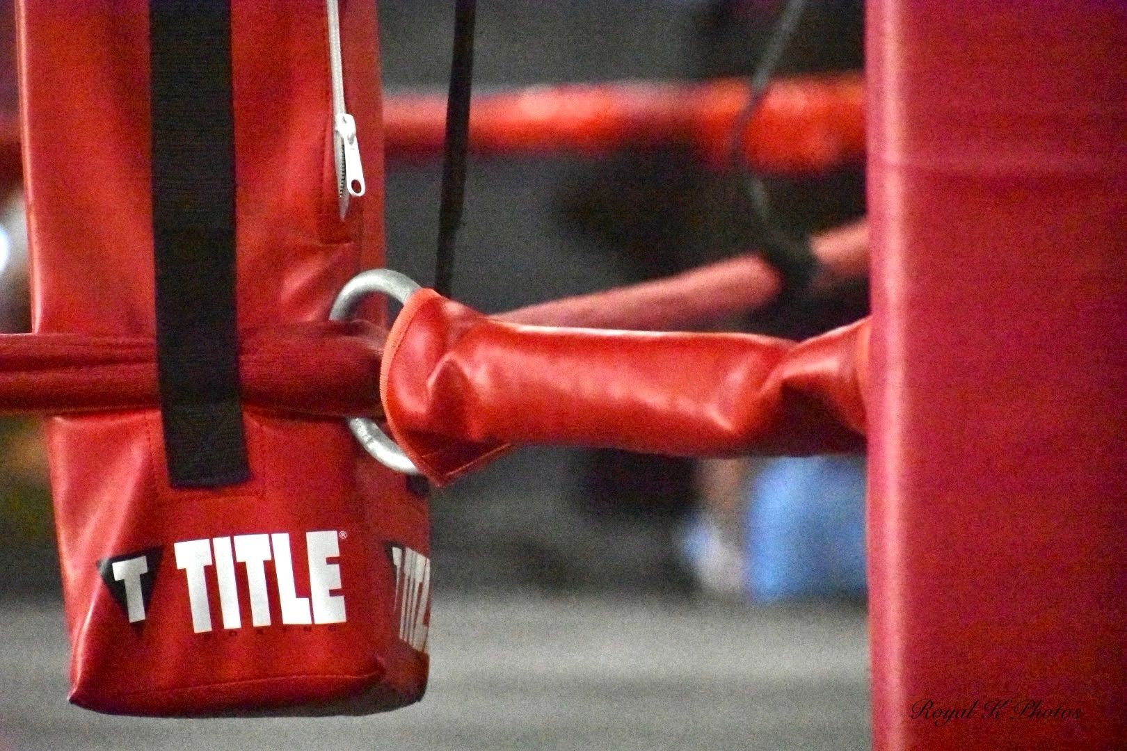 Eastside Boxing Classes | Punching in the Park