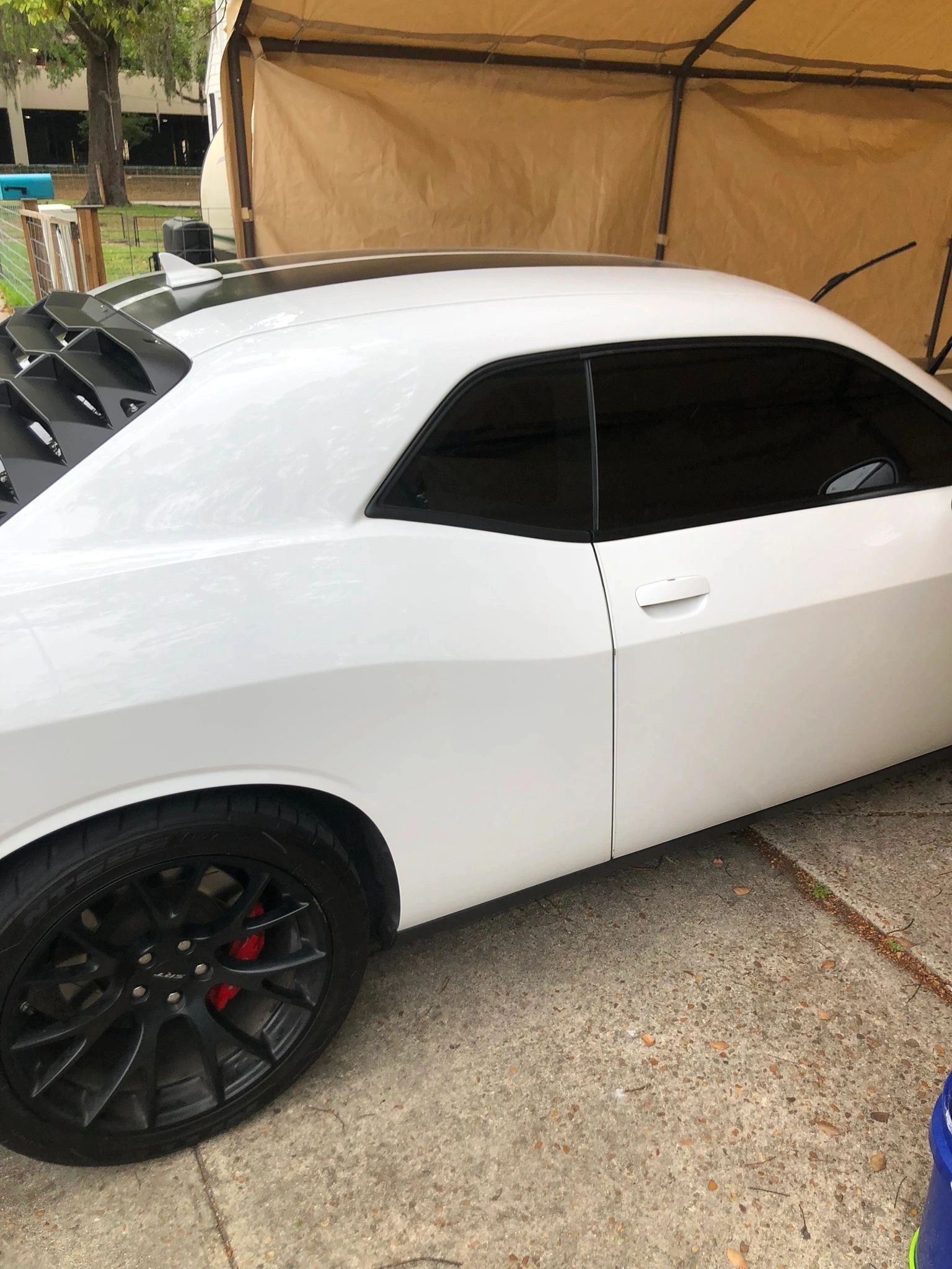 Professional Window Tinting Services | Rigdon Window Tinting