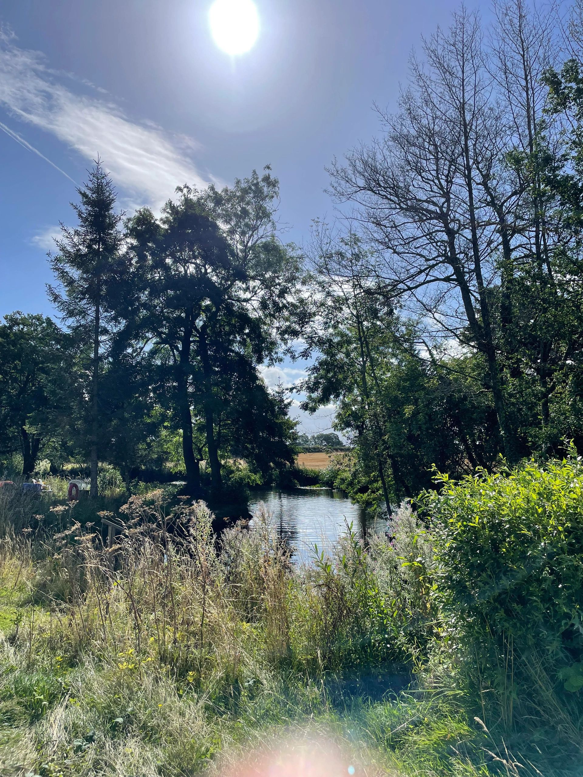 About Chaloner Pond | Chaloner Pond Wild Swimming & Well-being Ltd