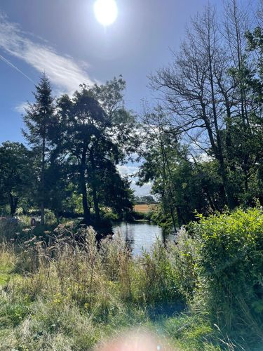 Chaloner Pond Wild Swimming & Well-being Ltd