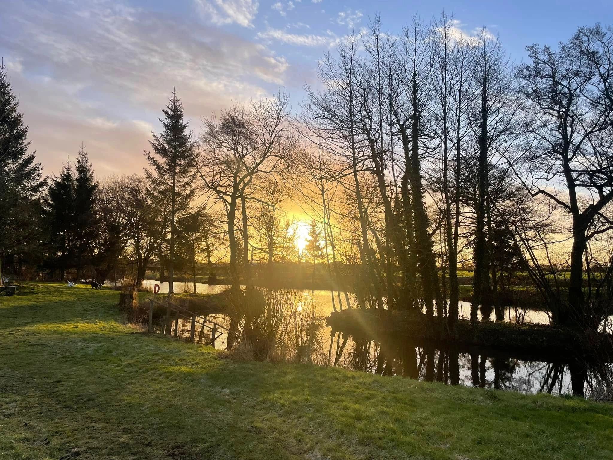 Experience Cold Water Swimming at Chaloner Pond