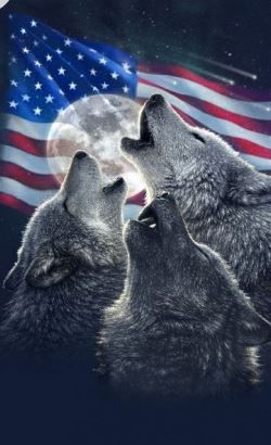 Howling Patriotic Wolf Back Panel