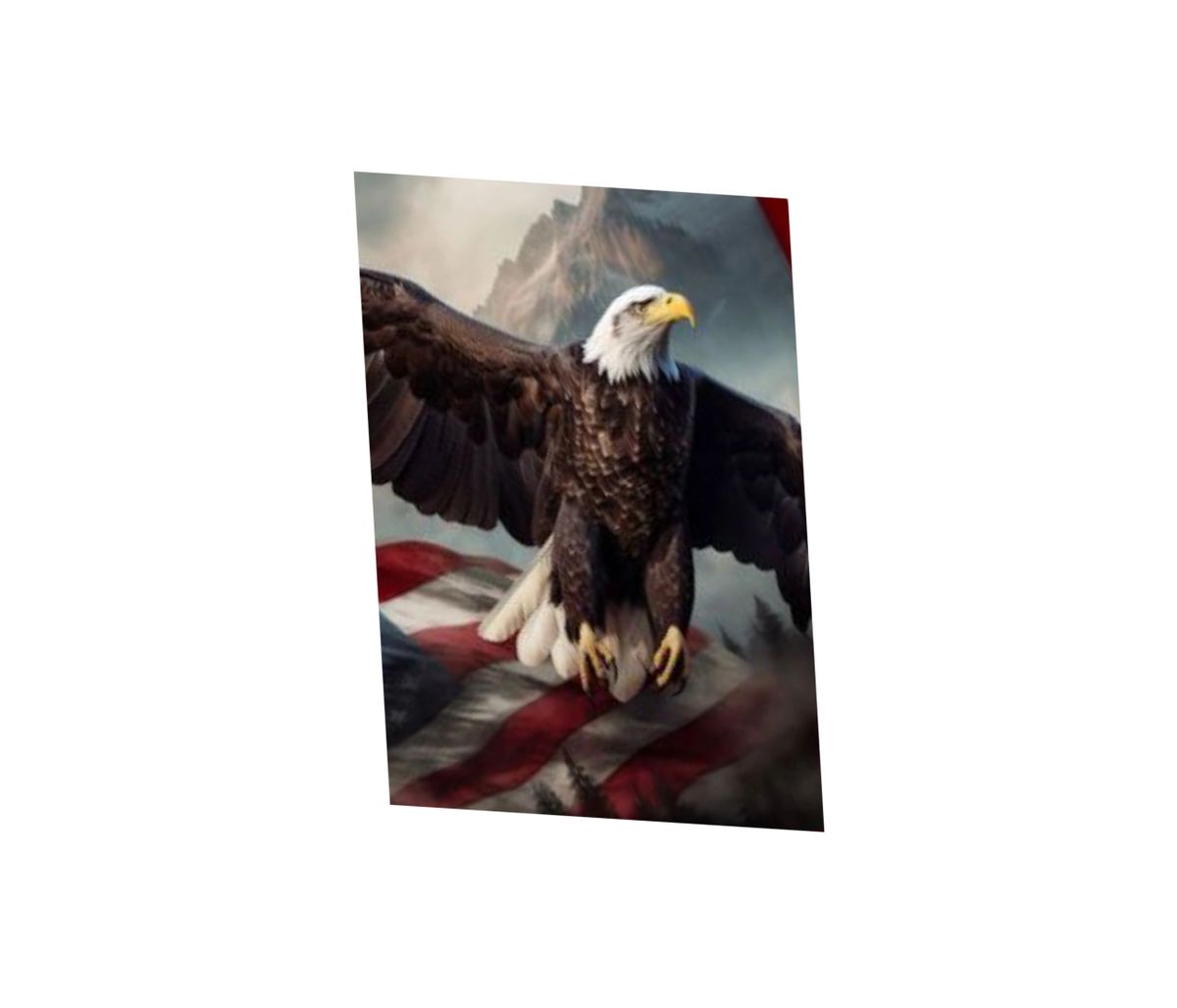 Soaring Eagle Back Panel