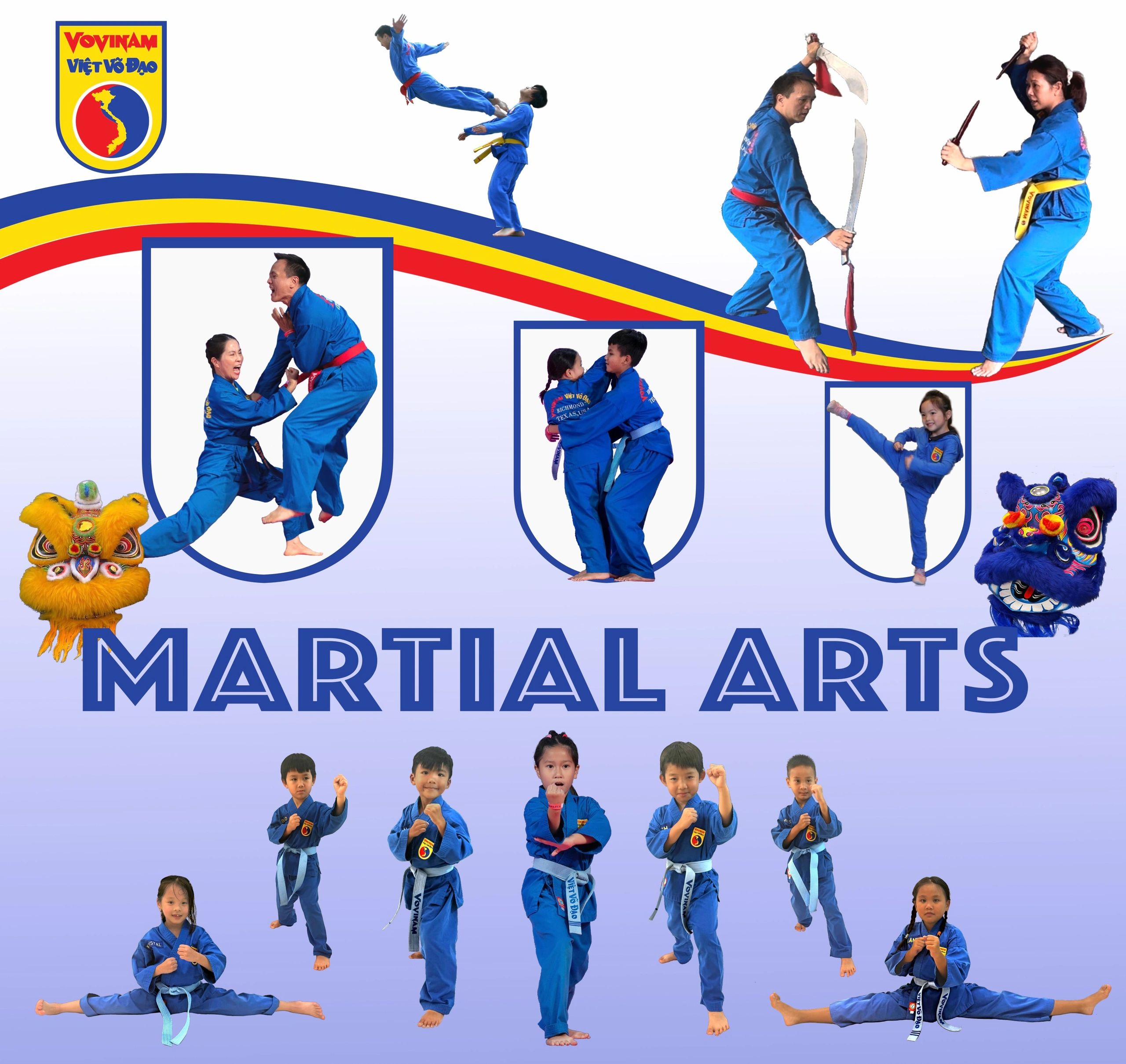 Vovinam Viet Vo Dao Martial Arts Richmond, TX