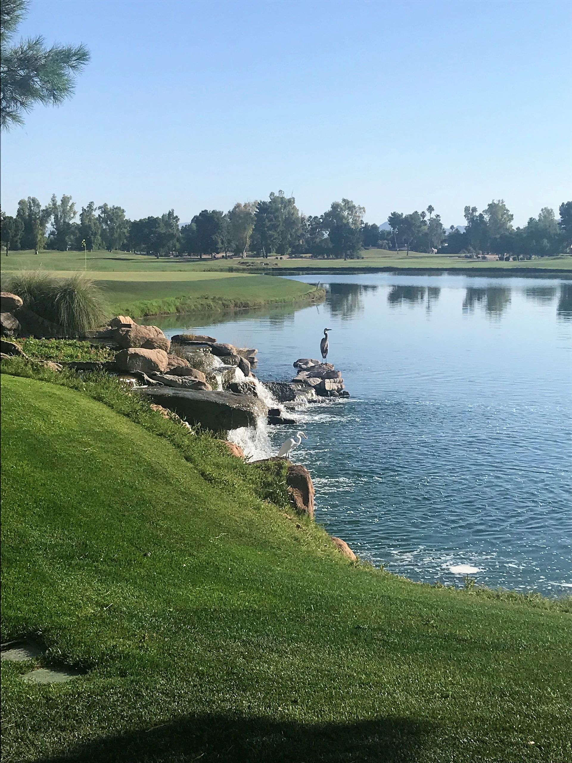 HOA's Curbside Appearance directly related to home values!