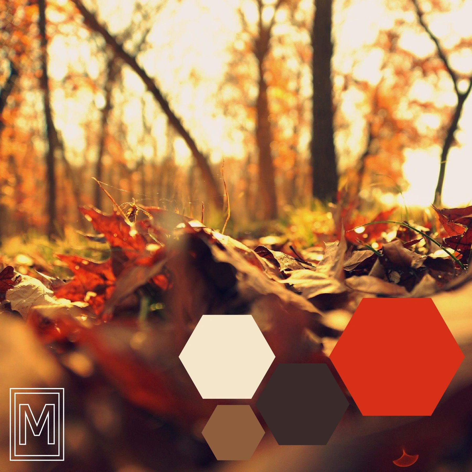 Get Inspired with these 4 Fall Color Combos