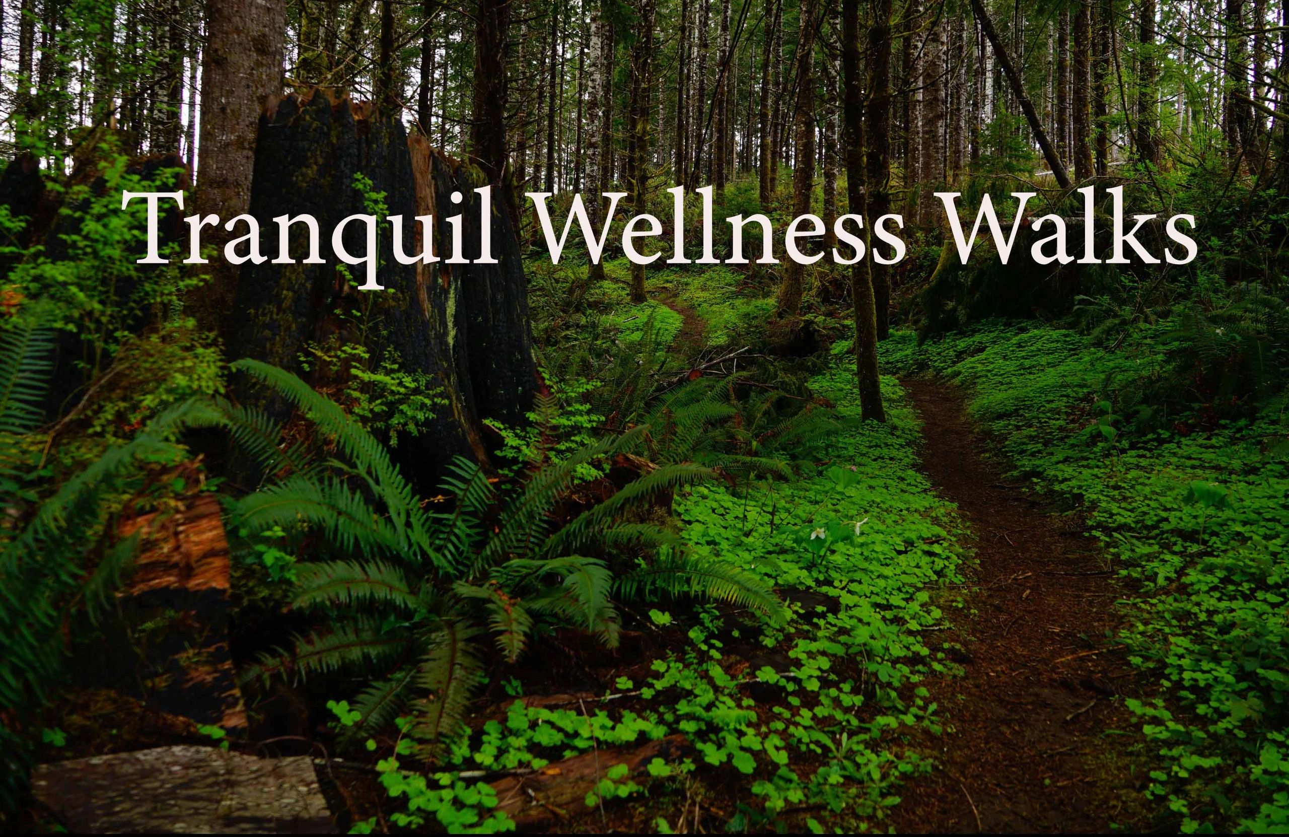 Tranquil Wellness Walks - Guided Forest Bathing for Emotional Wellness