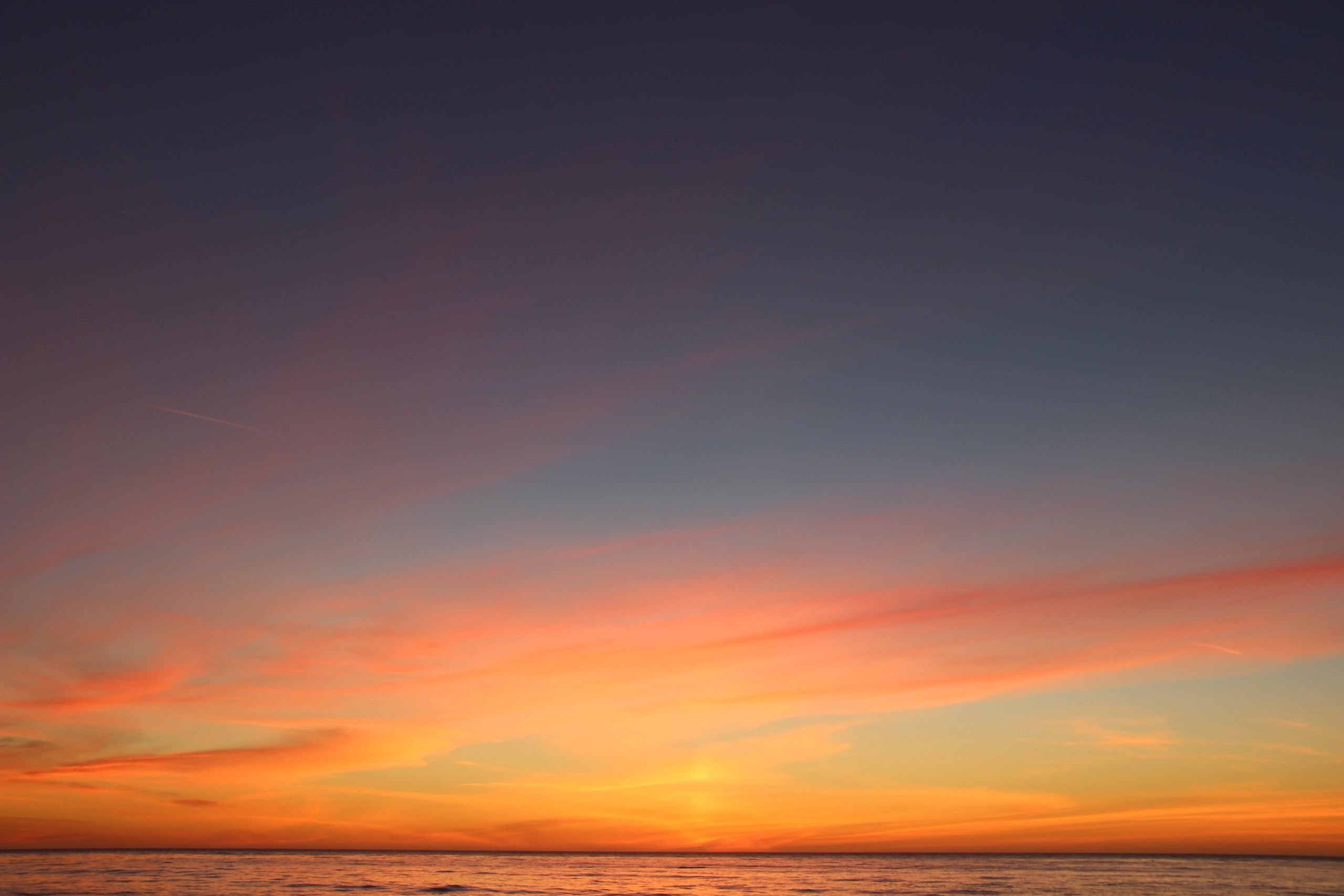 Mark Handelsman, D.D.S