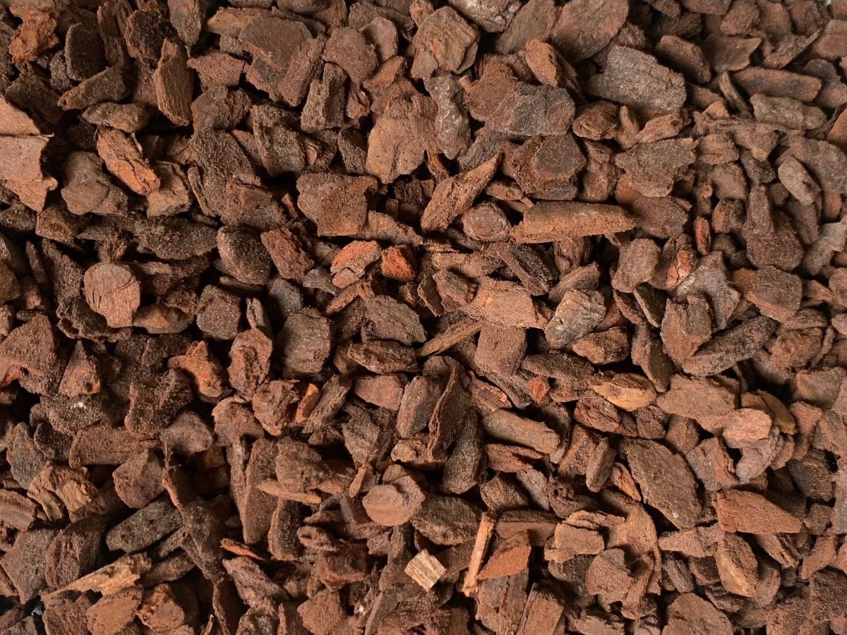 Orchid Bark