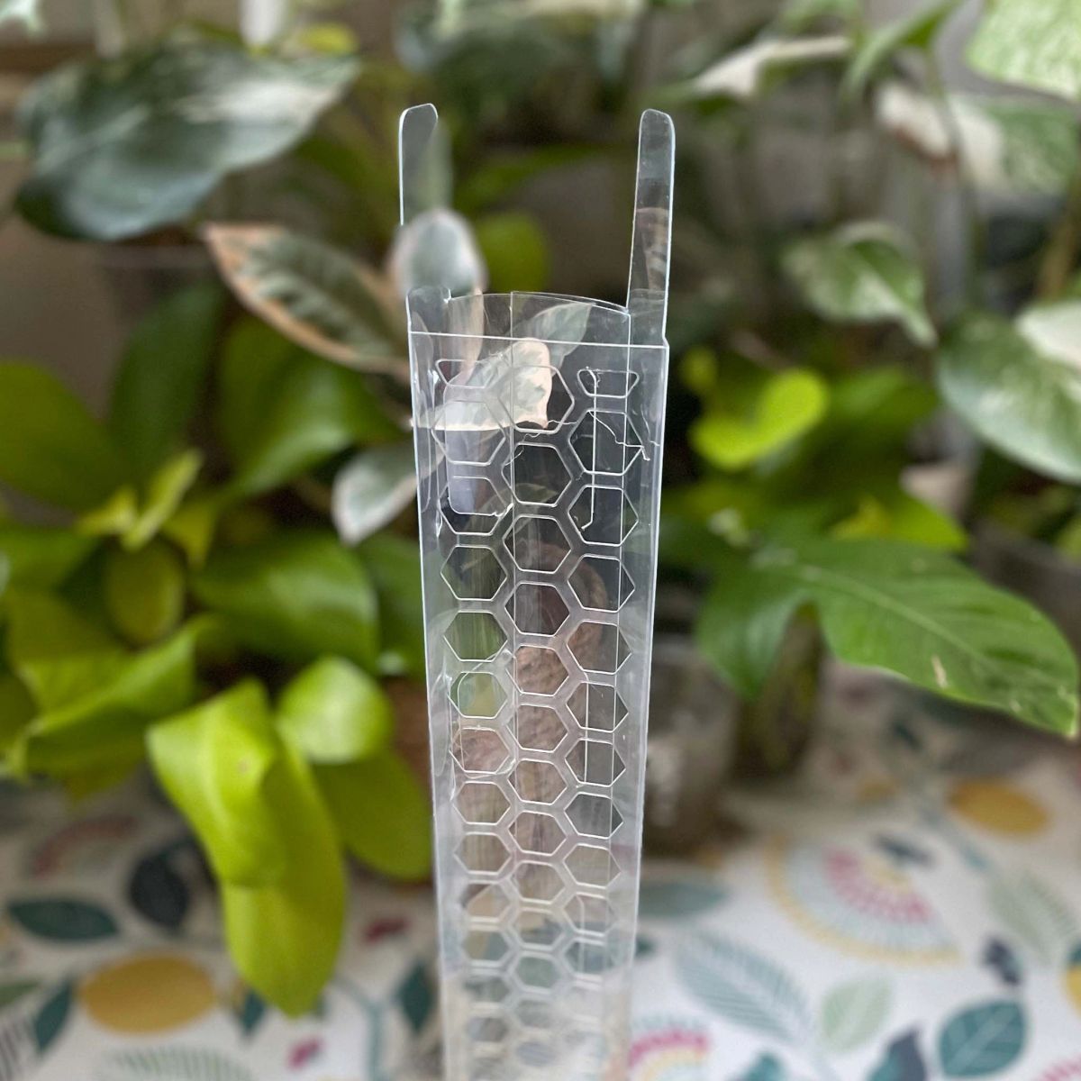 Transparent D-Shape Moss Pole Small