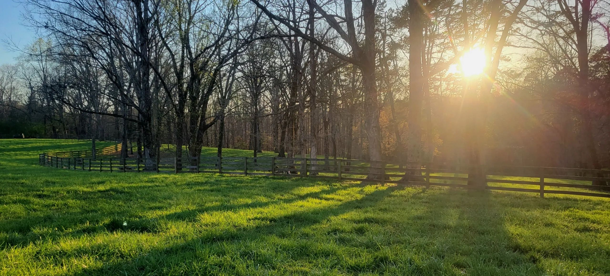Avalon Farm - Studio Photography, Outdoor Photography, Photography Venue