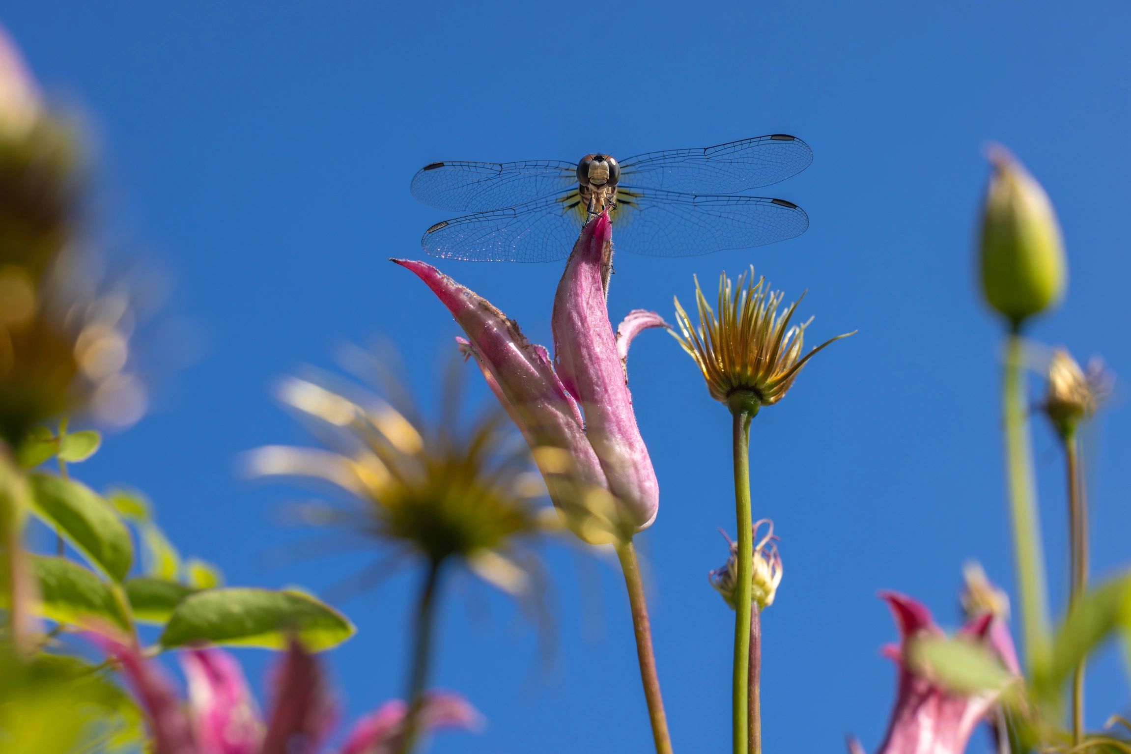 Home | Alandrea Country Living