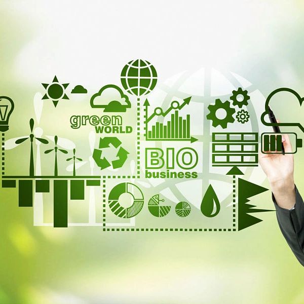 About us | Kopanya Group Limited