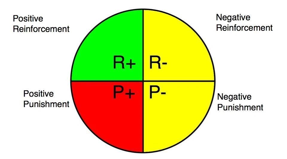 Bad Science: Quadrants of Operant Conditioning