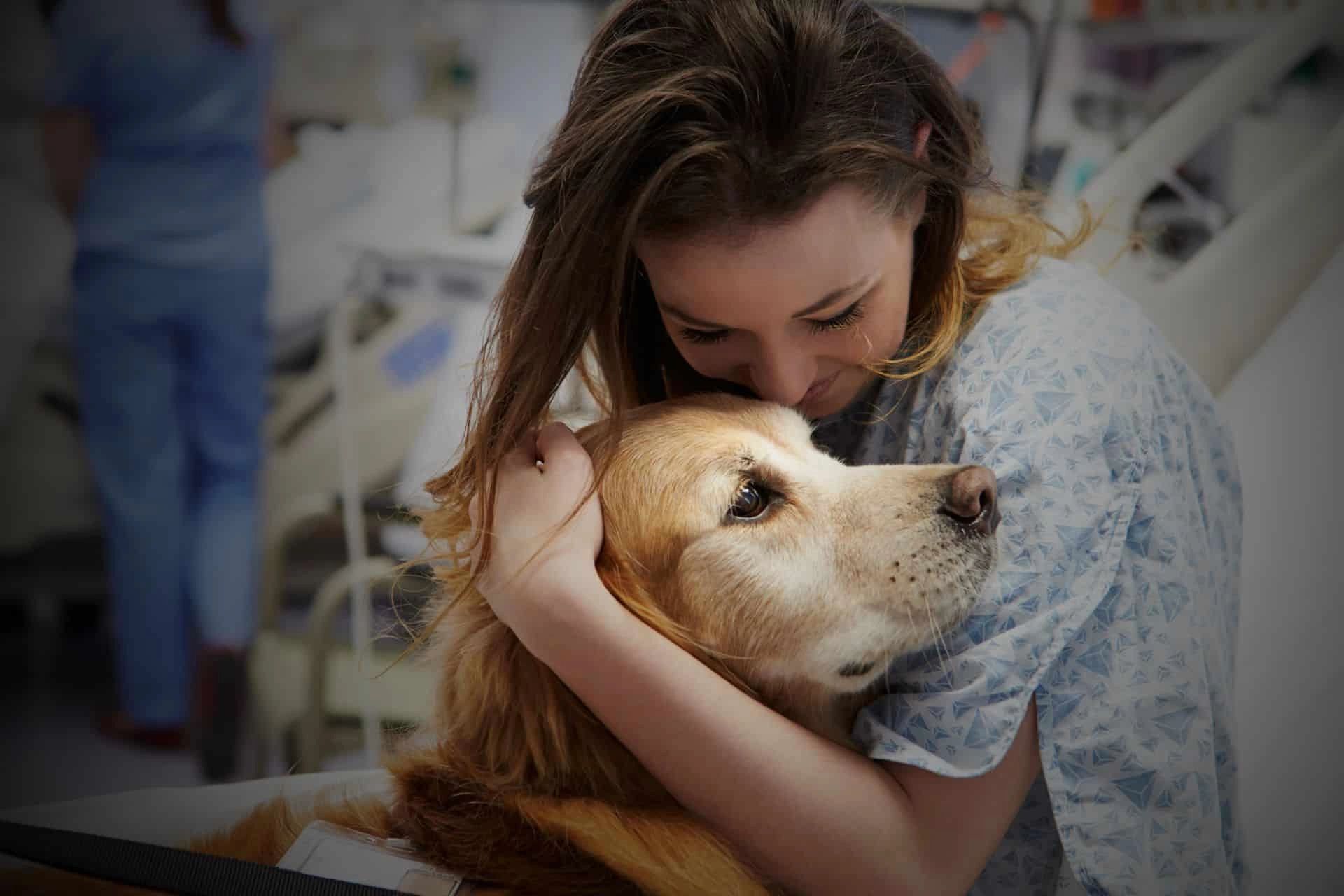 The Role of Therapy Dogs