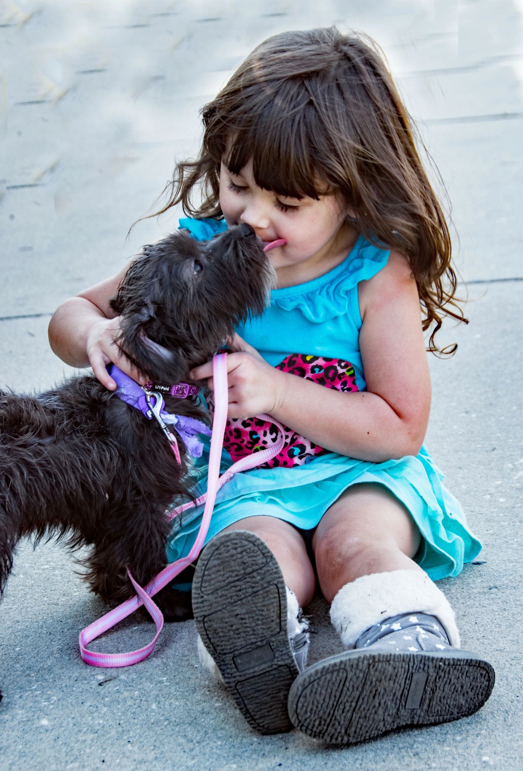 Best Small Dog Breeds for Kids