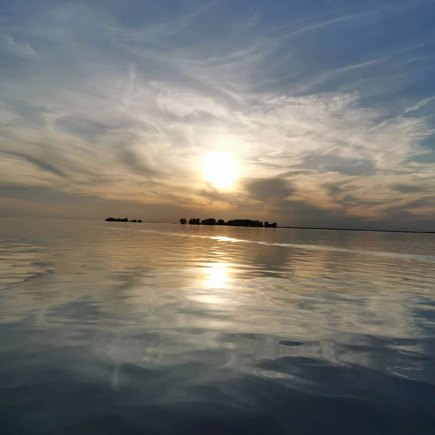 Wall Murals | Hidden Dreams Artwork