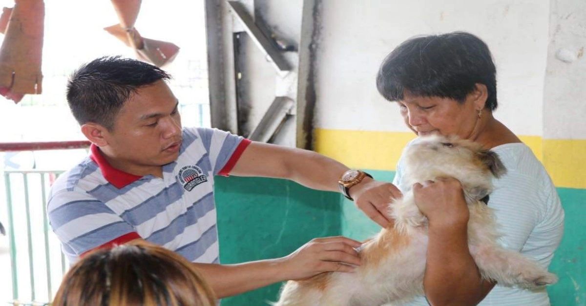 TAMANG PAG ALAGA SA MGA ASO'T PUSA SA PANAHON NG TAG ULAN AT BAHA