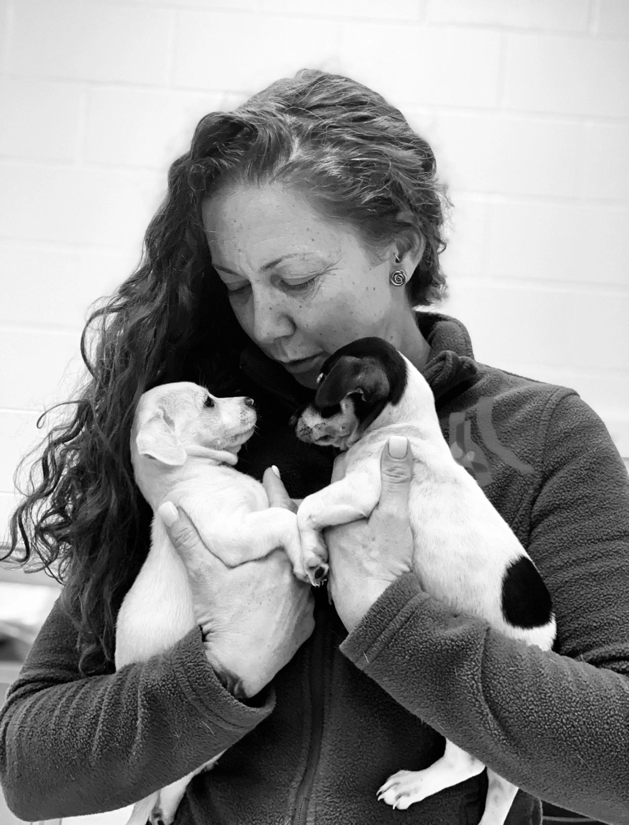 The Multi Modal Approach