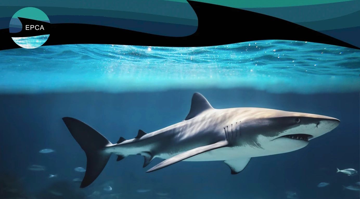 HOME [epcafoundation.org]