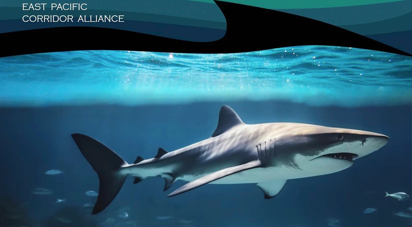 HOME [epcafoundation.org]