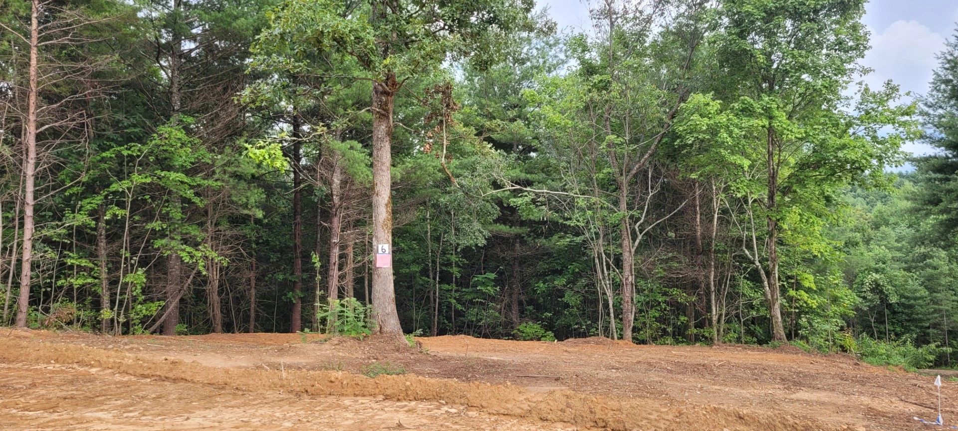 Wooded RV, Tiny Home or Cabin Lots - Conestoga Trail of Murphy