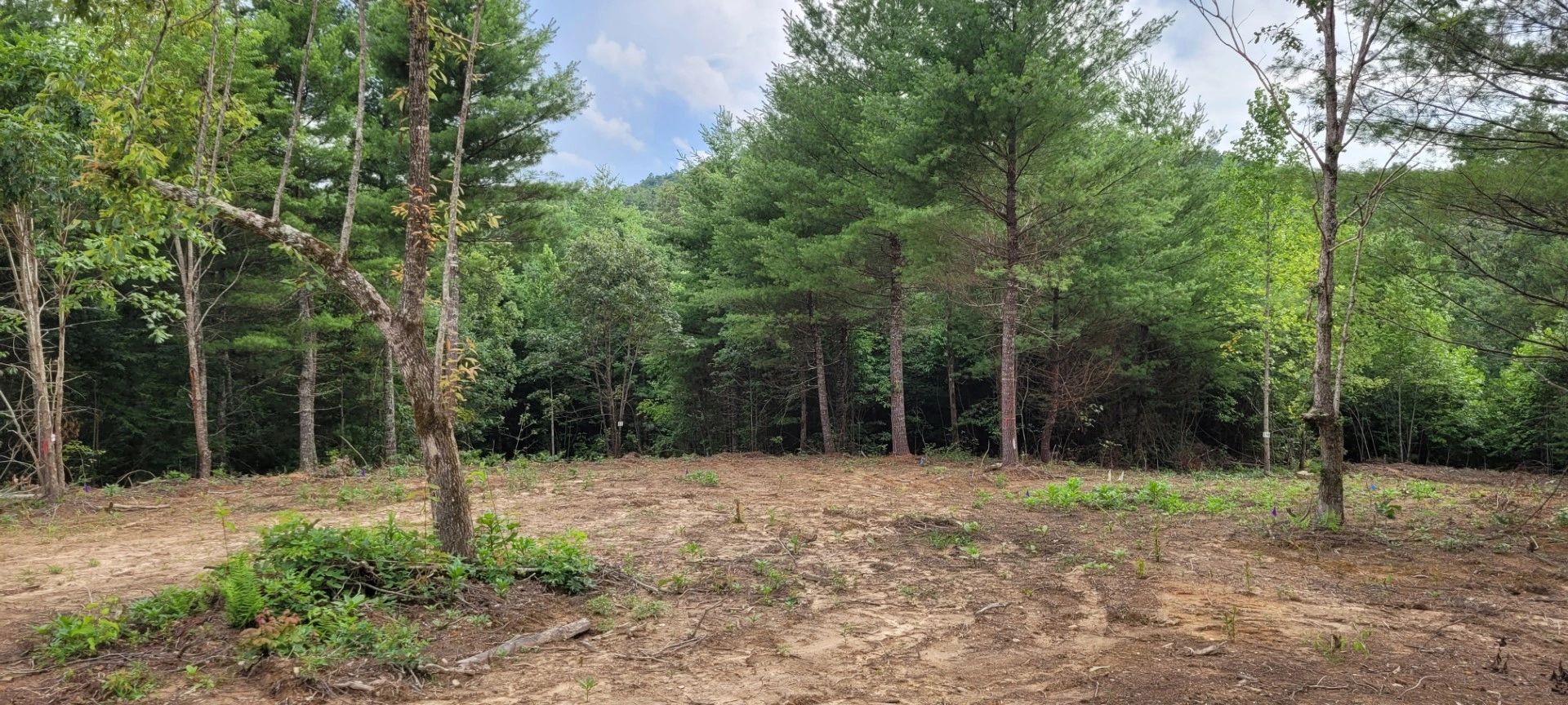 Wooded RV, Tiny Home or Cabin Lots - Conestoga Trail of Murphy