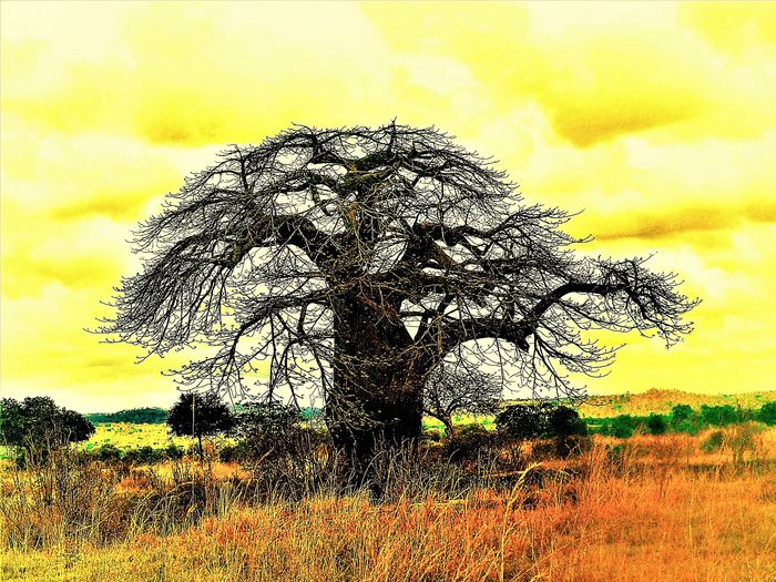 Mel Wilson-Digital Art - Prints, Wall Art, Posters & More, Purchases ...