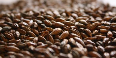 Colorado Malting Company