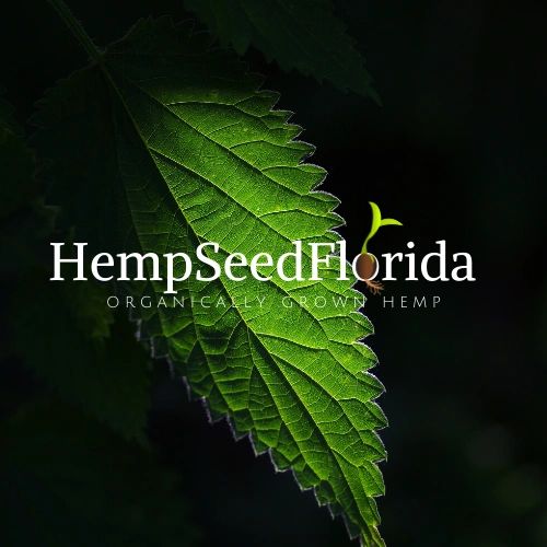 Florida Hemp Seed - Hemp Seed Florida | Hemp Seed Florida