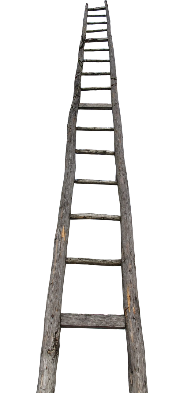 Developing Student Character | The Ladder Program