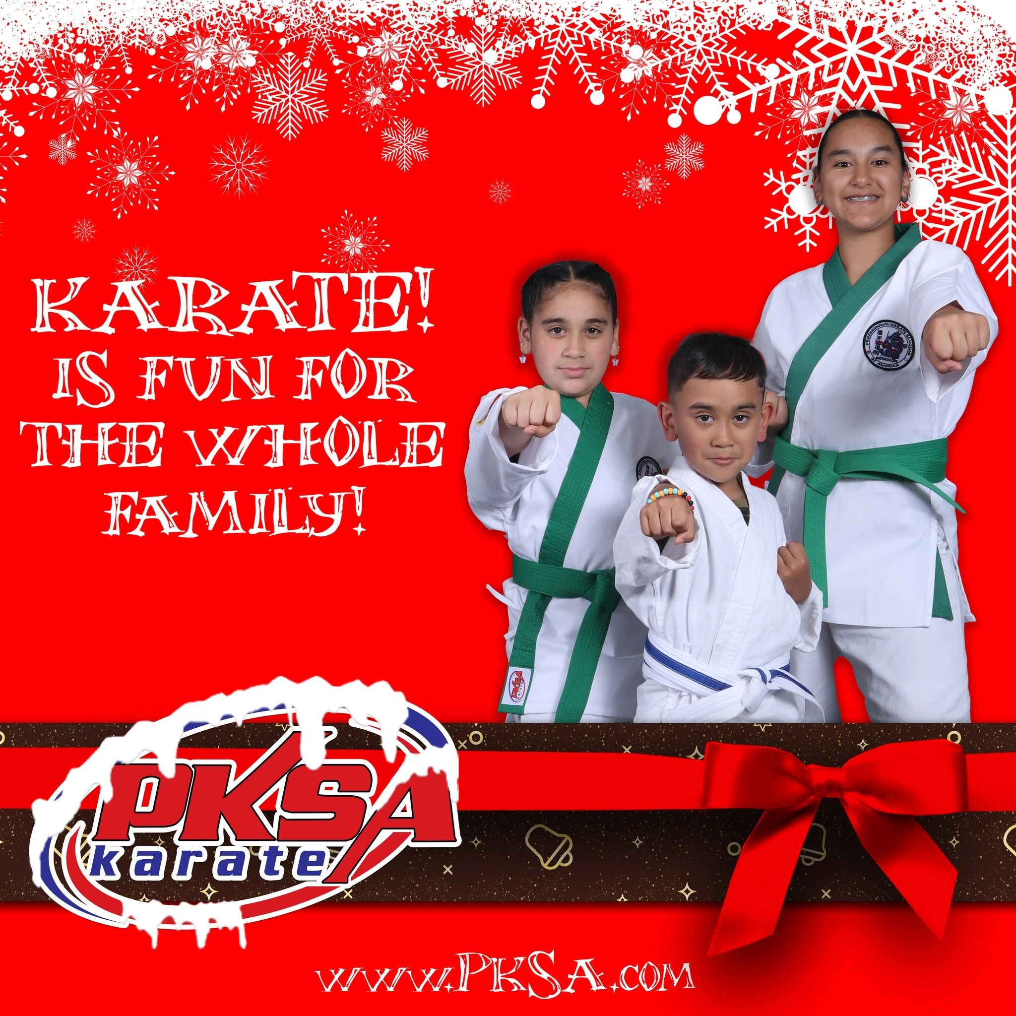 Martial Arts Training | PKSA Karate Royal Oak