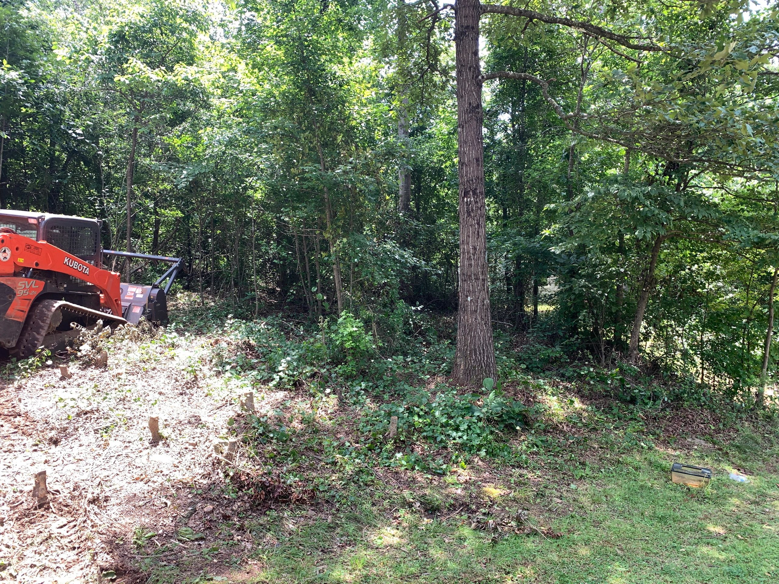 Community Land Clearing
