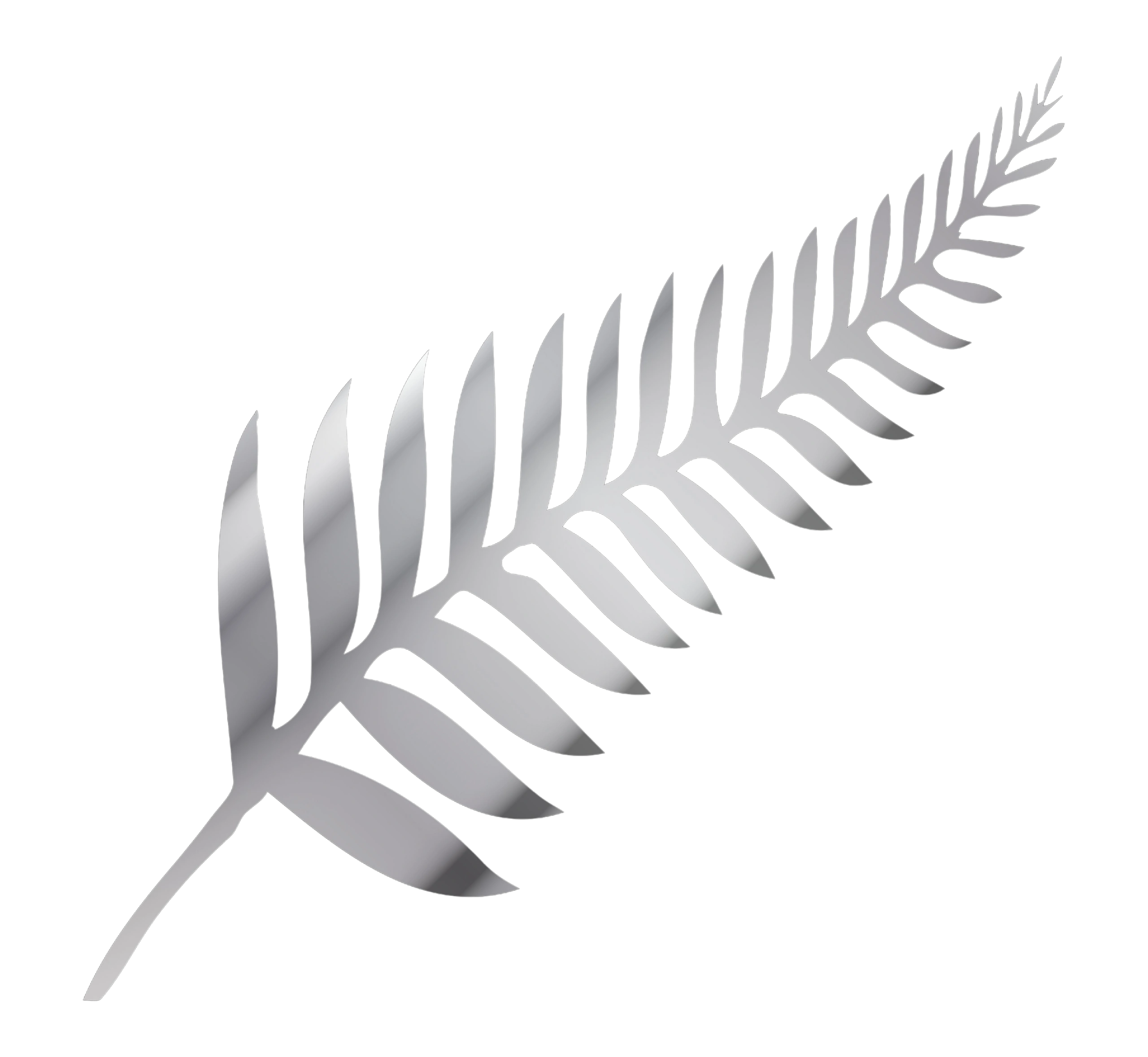 Silver Fern Financial