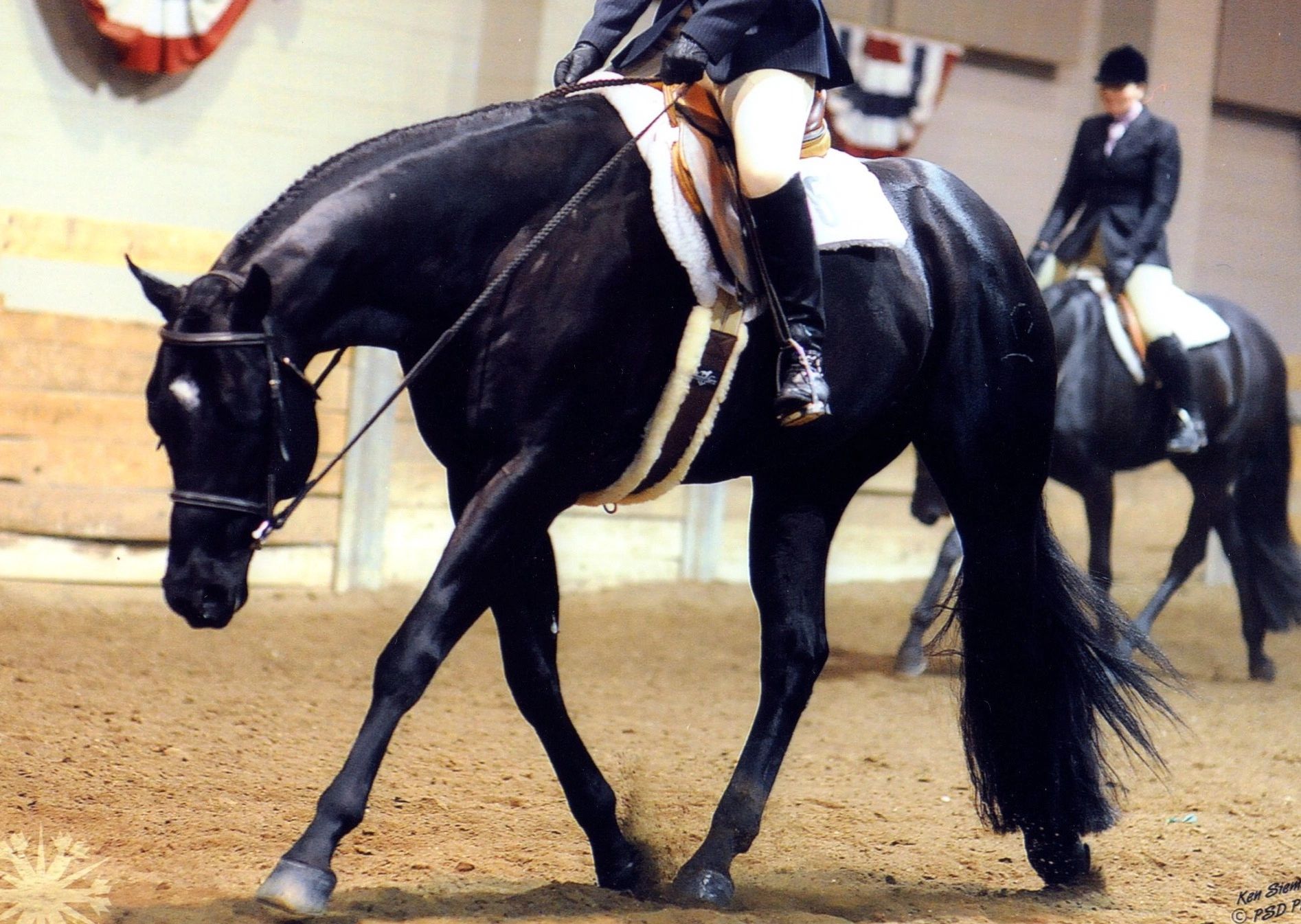 Pickford Performance Horses - Horseback Riding, Horse Training