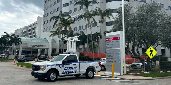 CAPITOL SECURITY SERVICES