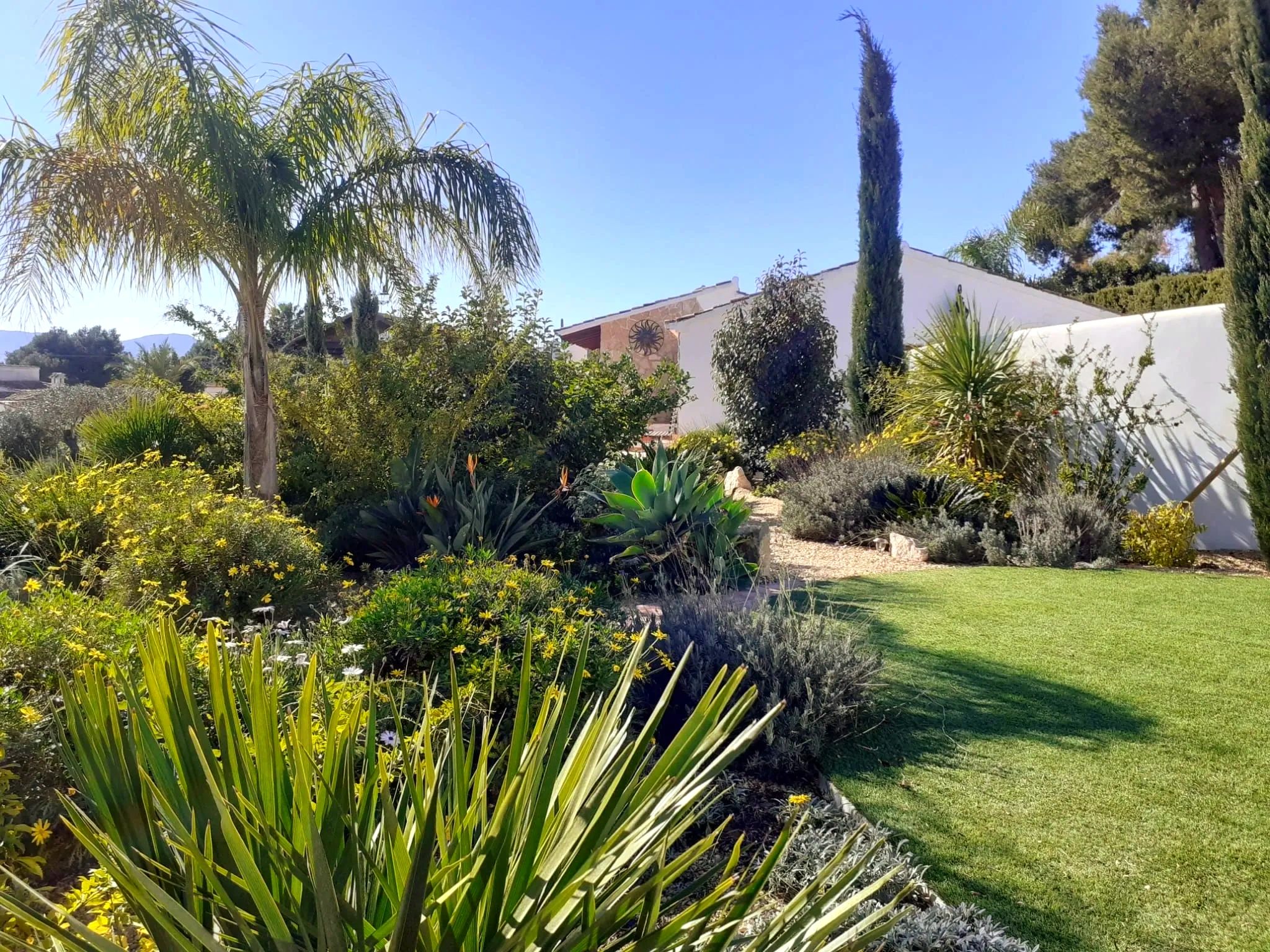 Forward-Thinking Garden Design for Long-Term Beauty