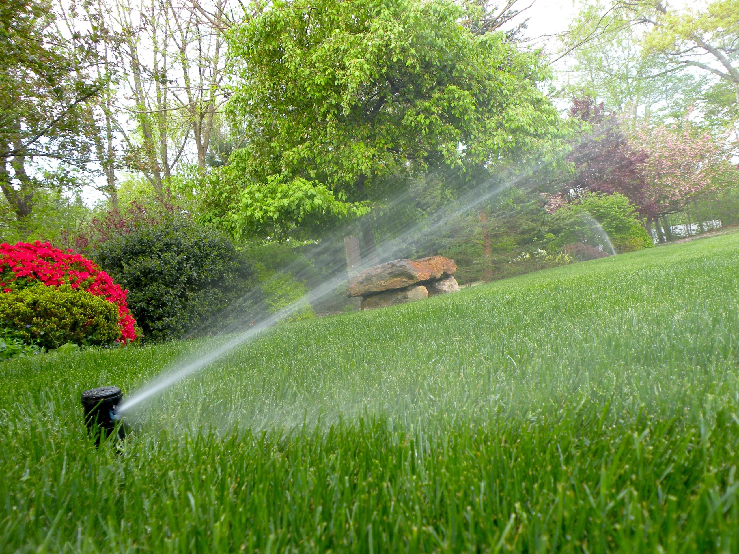 Water Works Sprinkler Systems, Inc.