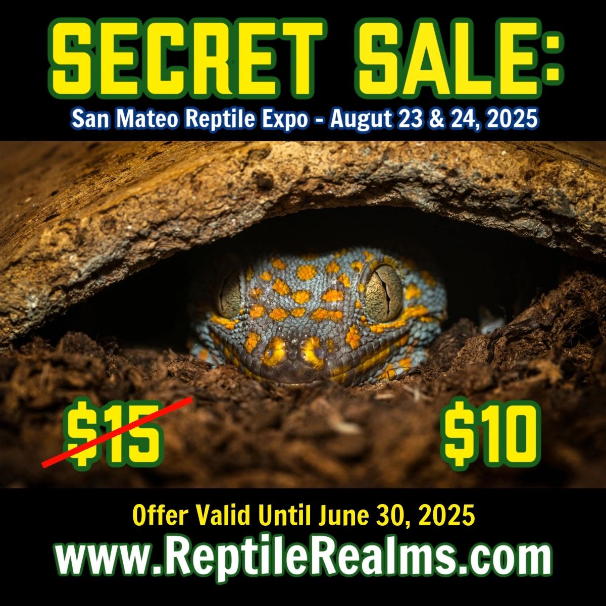 Reptile Realms: Bay Area Reptile Expos