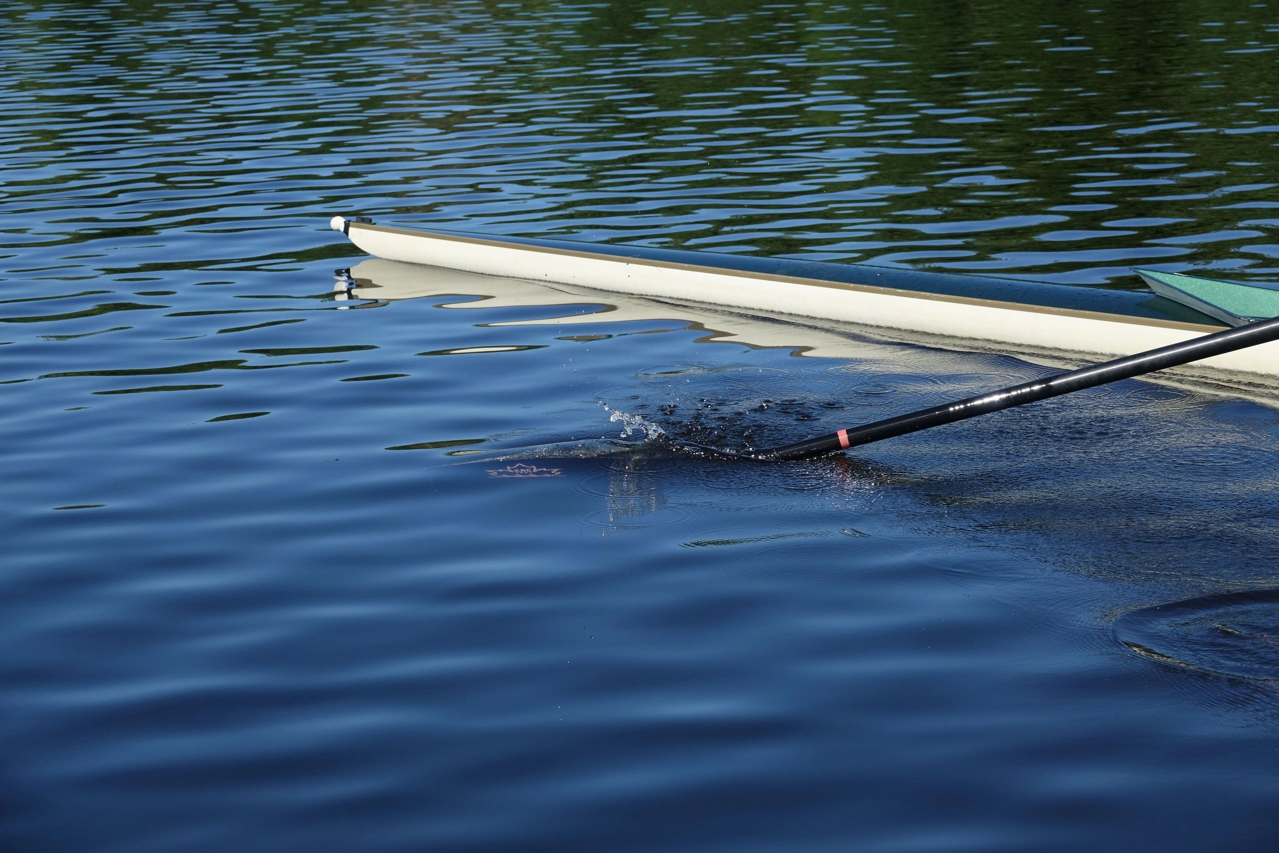 Rowing New Brunswick Aviron | Promoting Rowing Excellence