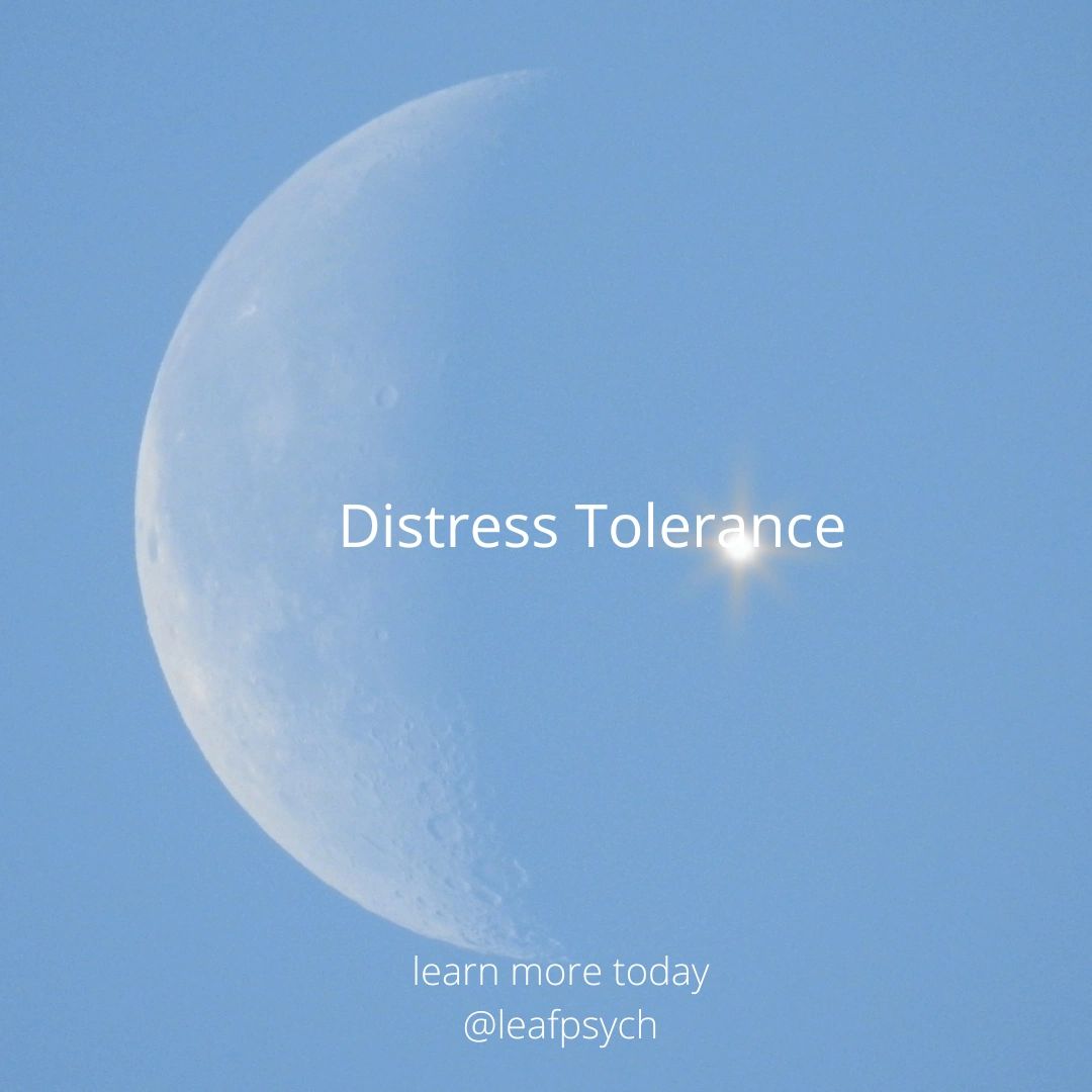 Building Resilience: The Art of Distress Tolerance