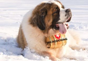Microdosing (Bernese) induction: No withdrawal needed