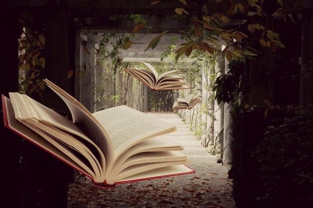 What Is a Transition Chapter?