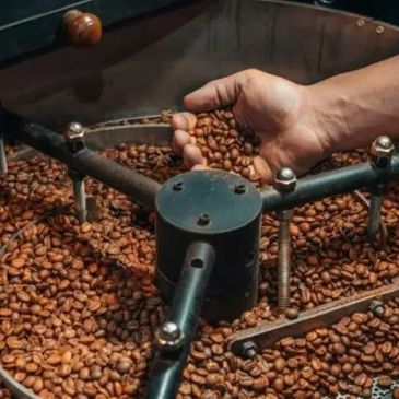 Berk's Beans - Coffee, Coffee Beans, Coffee, Best Coffee