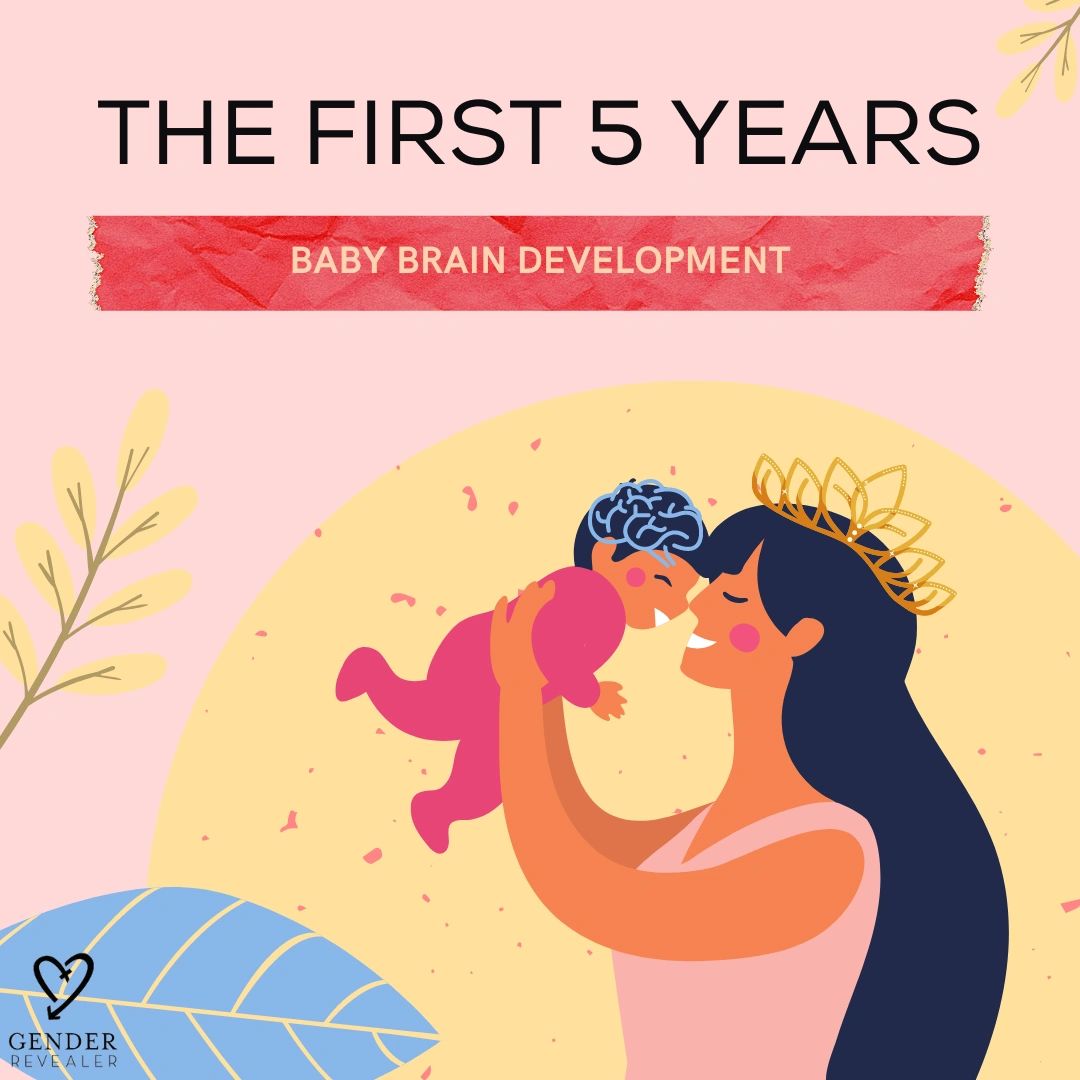 Baby Brain Development: The Crucial First Five Years